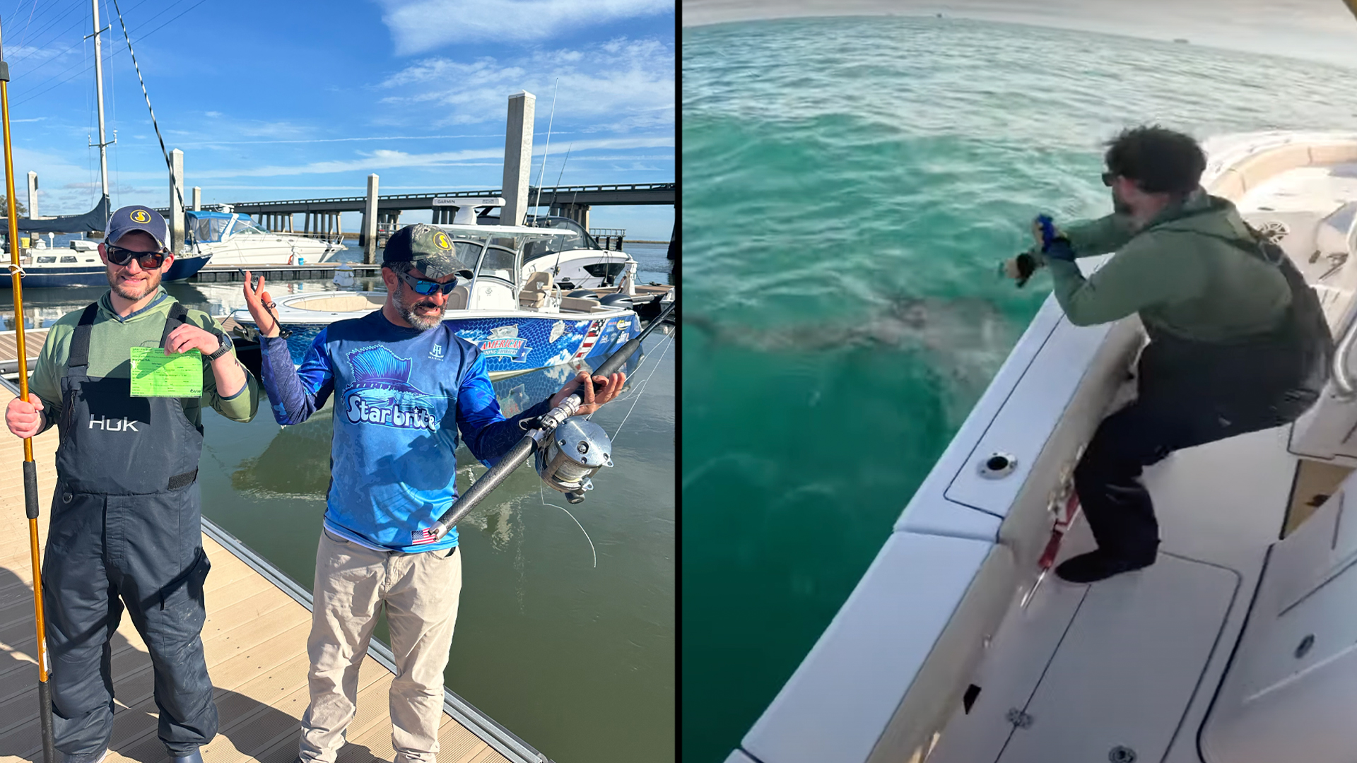 Former Rangers tag great white shark in memory of fallen Ranger
