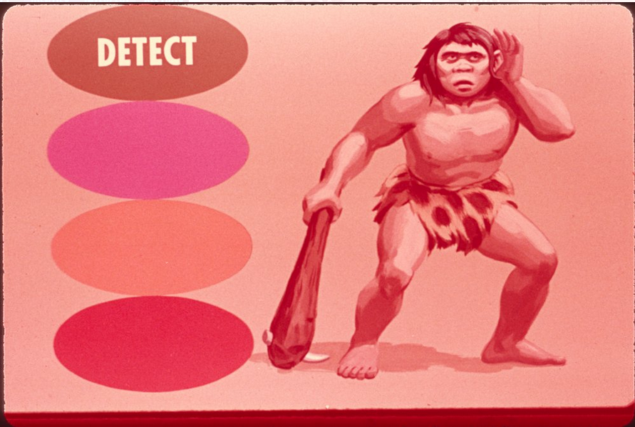 The Cold War-era slides that showed how the military worked - Task ...