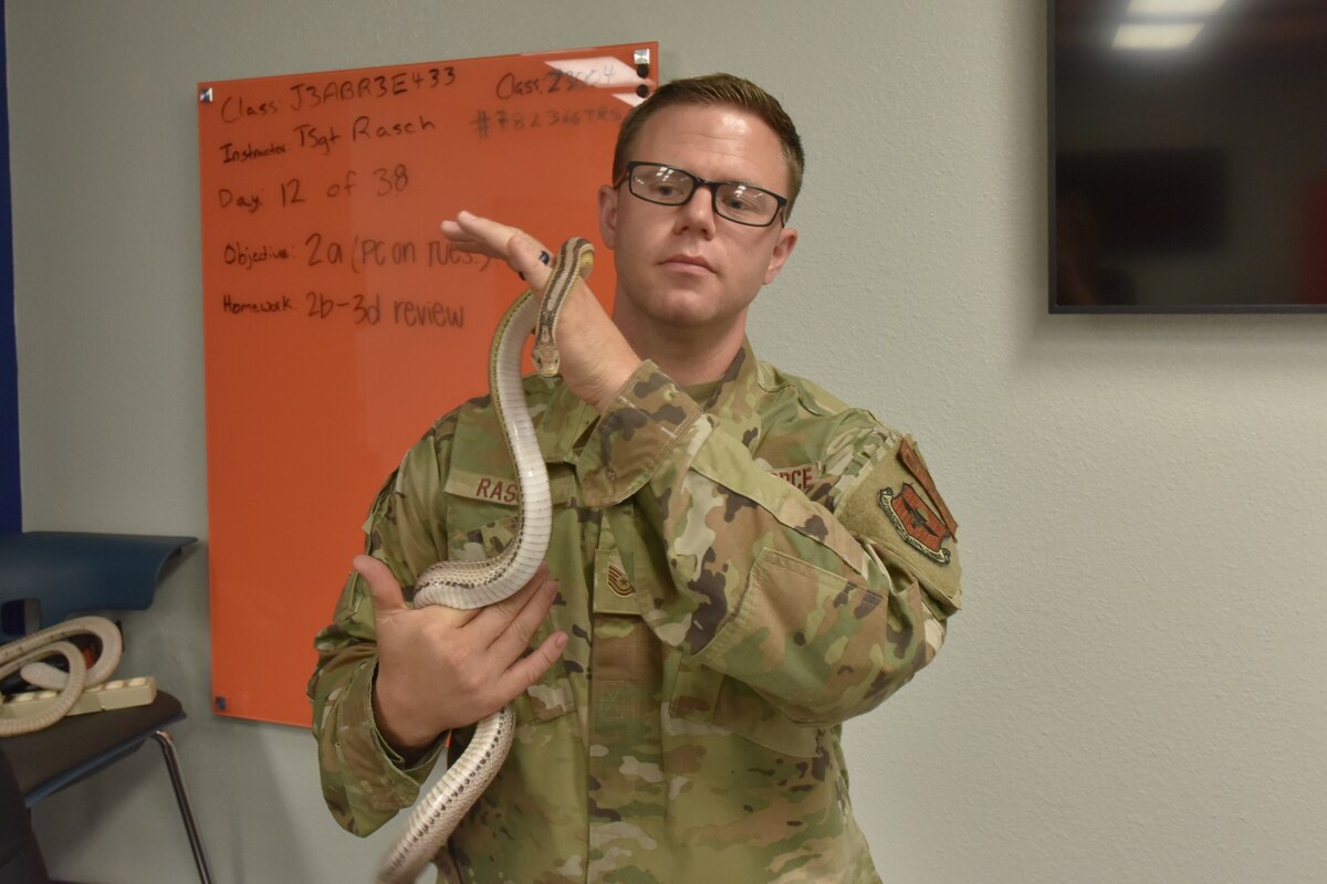 An Air Force Base closed its dining hall after reports of rats
