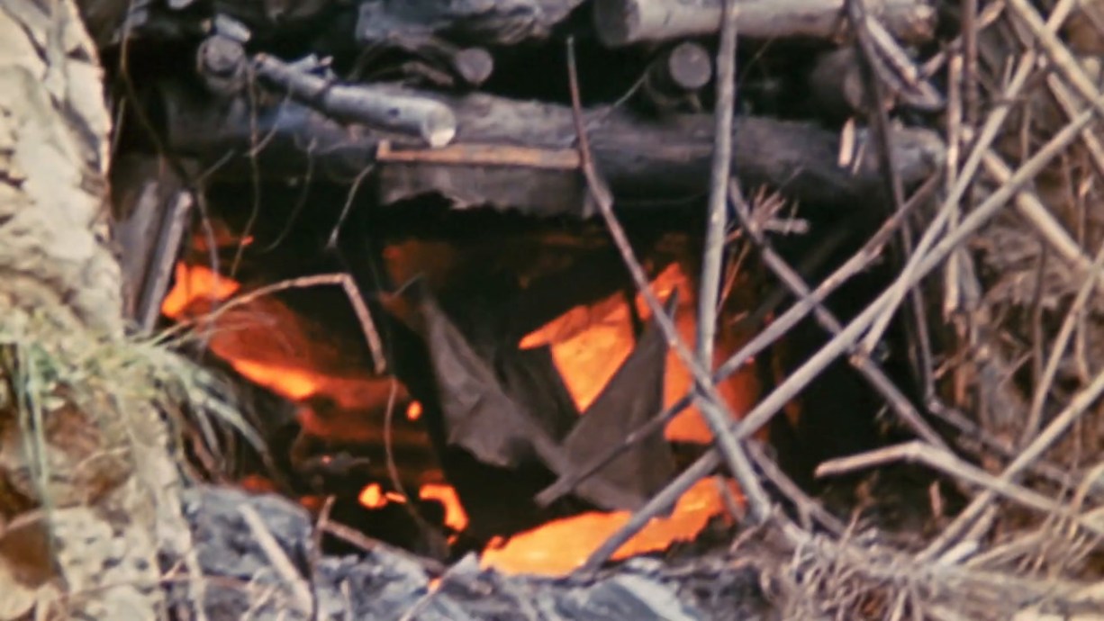 Nearly 80 years after the end of WWII, we are still bringing home our ...