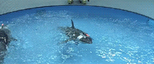 Navy accepts delivery of HELIOS laser weapon system