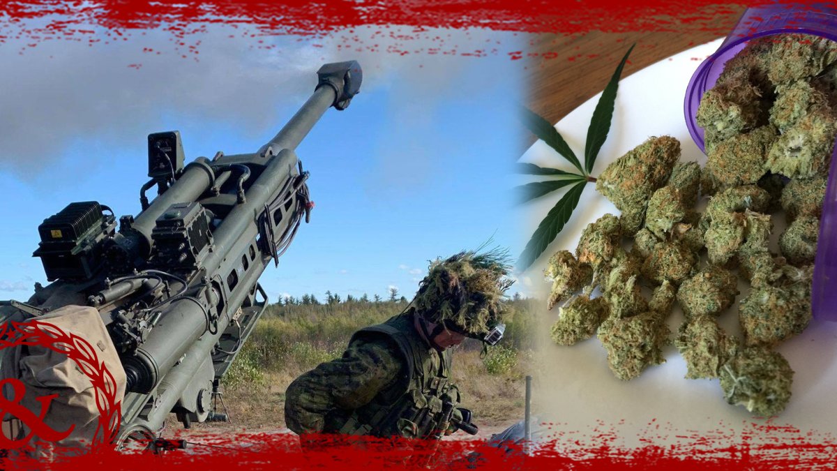 Canadian Army artillery unit gets stoned on marijuana during live fire ...
