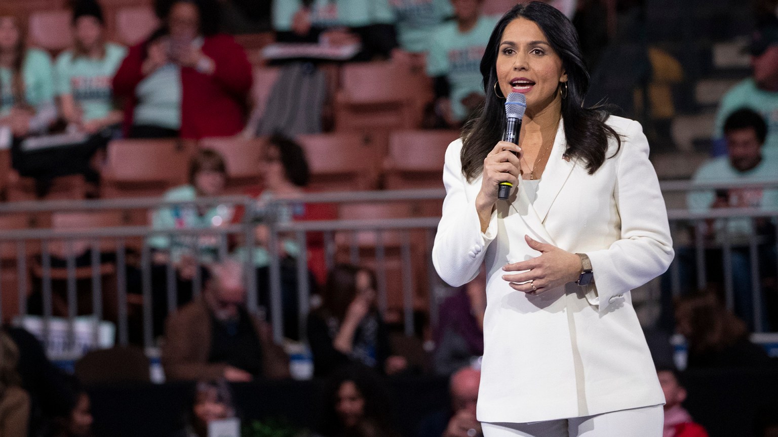 Tulsi Gabbard blasts ‘self-serving politicians’ while in Army uniform
