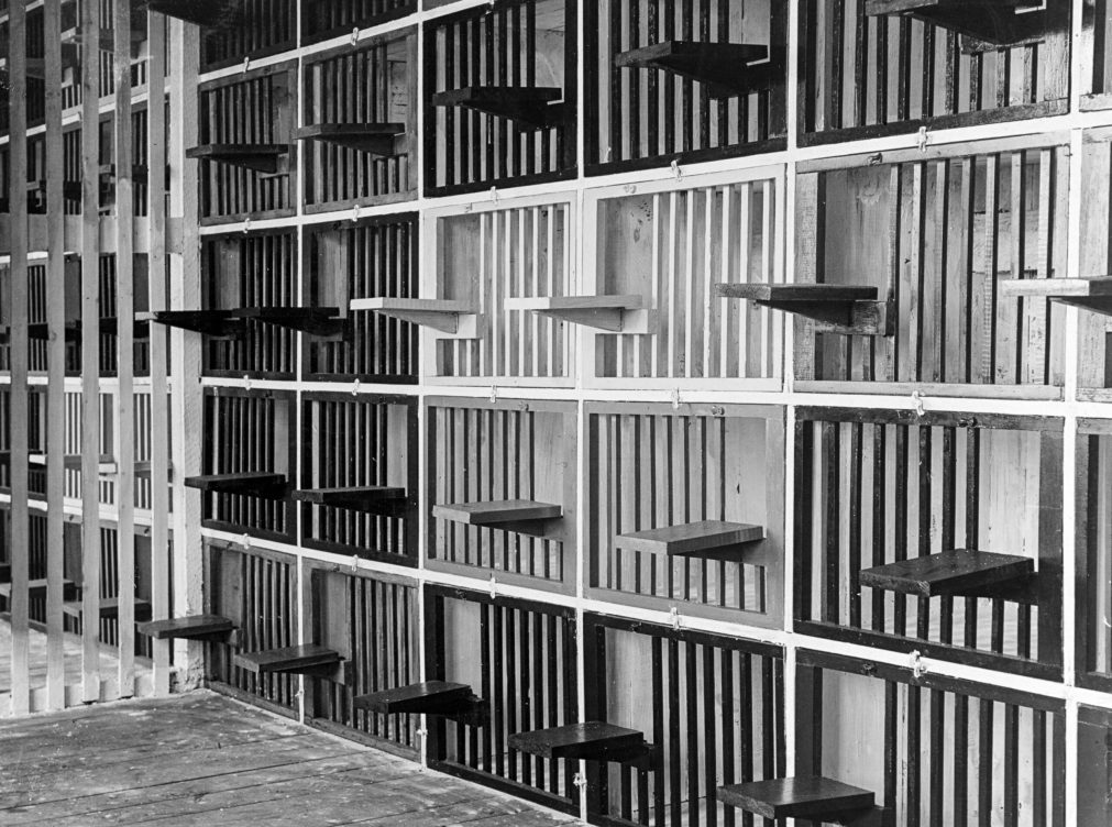 Why the Navy carried pigeons aboard its first aircraft carrier