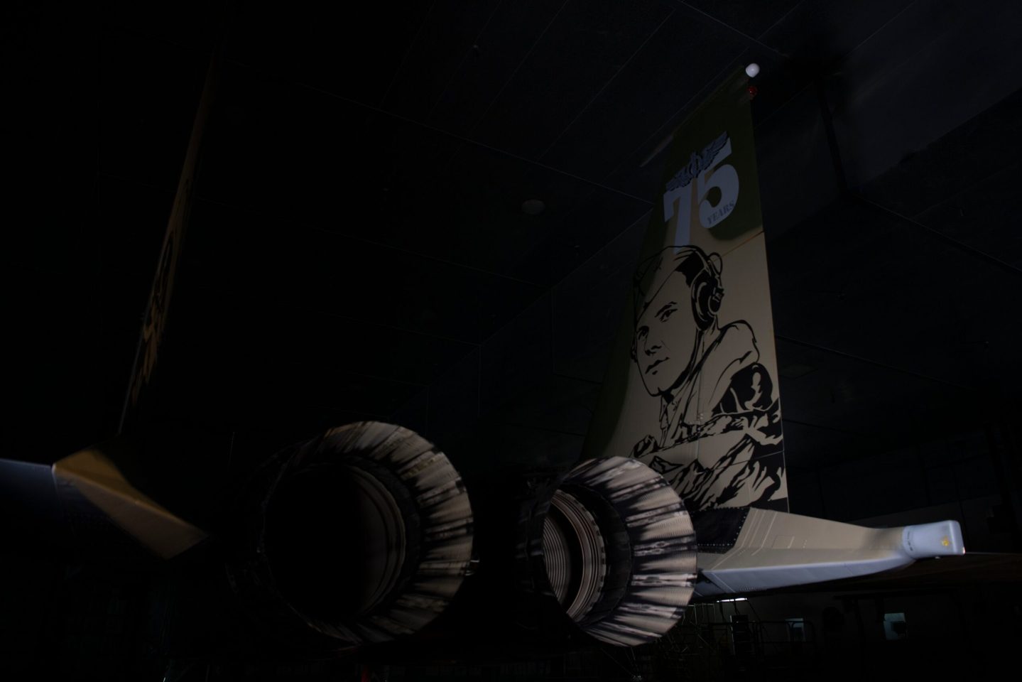 Air Force F-15 paint job honors WWII hero who gave up his parachute