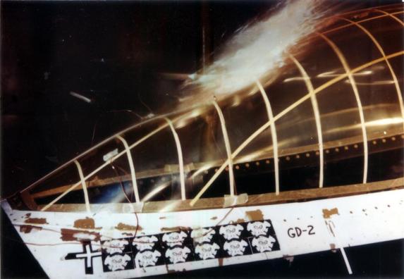 The Air Force has a ‘chicken gun’ that launches dead birds at 700 mph