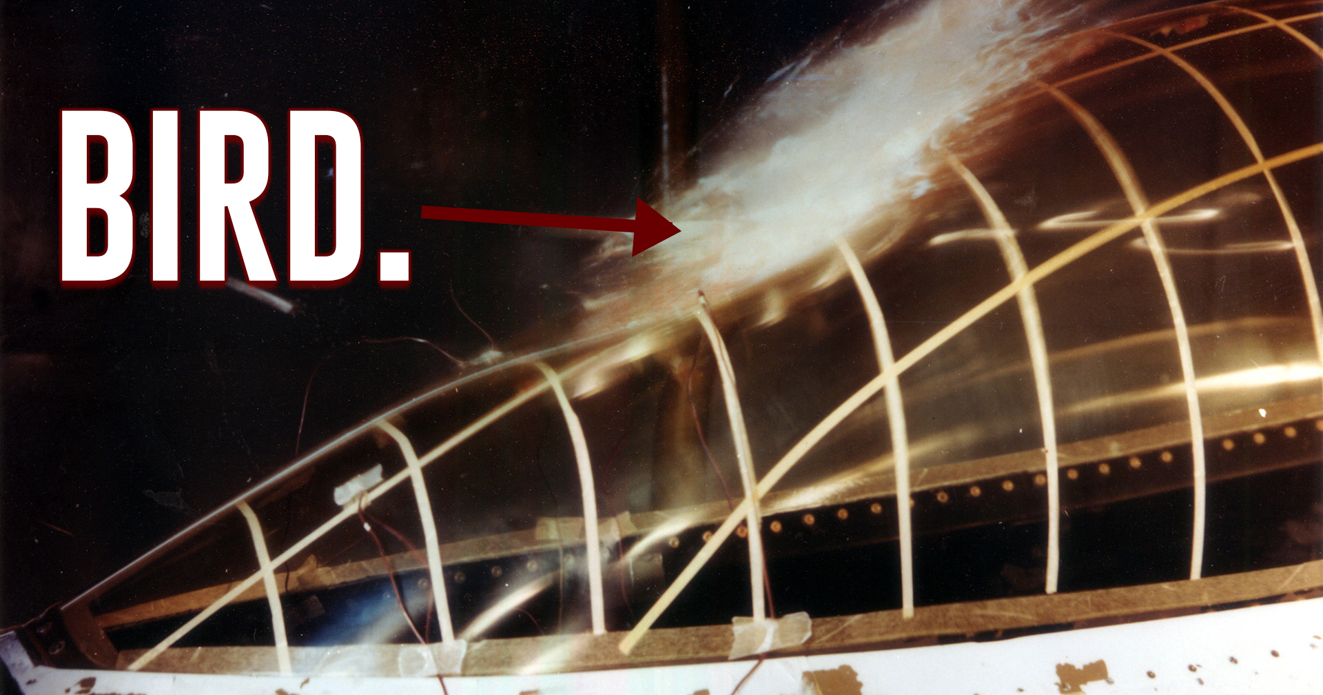 The Air Force has a ‘chicken gun’ that launches dead birds at 700 mph