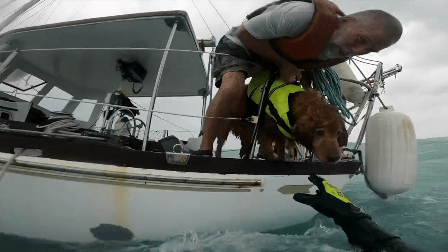 A Florida man and his dog got an amazing Hurricane Helene 'rescue selfie'