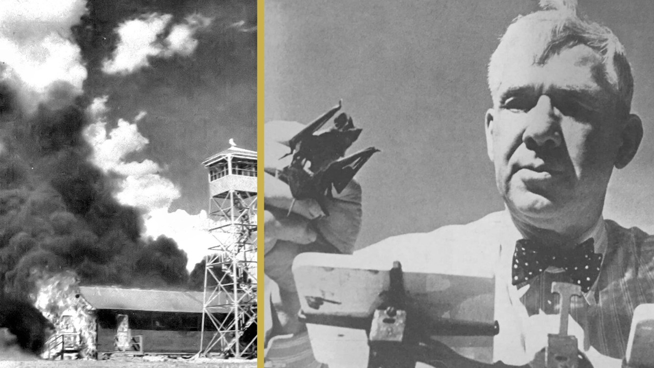 The World War II 'bat bombs' that only burned down a U.S. base