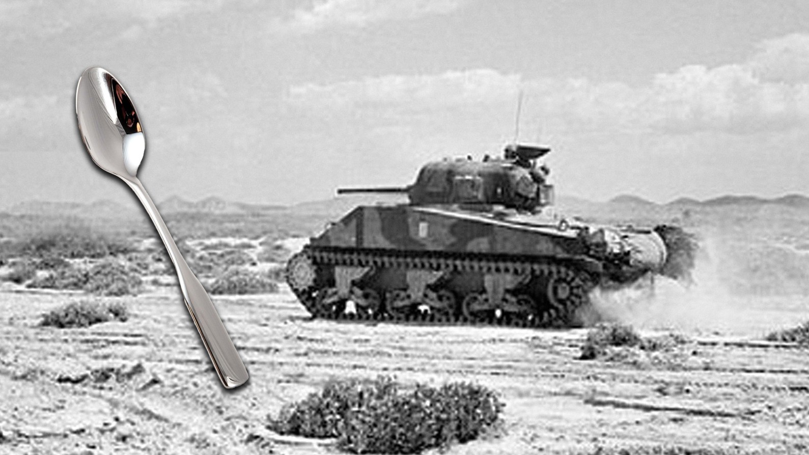 Autopsy reveals 101st airborne soldier was killed, stabbed 68 times