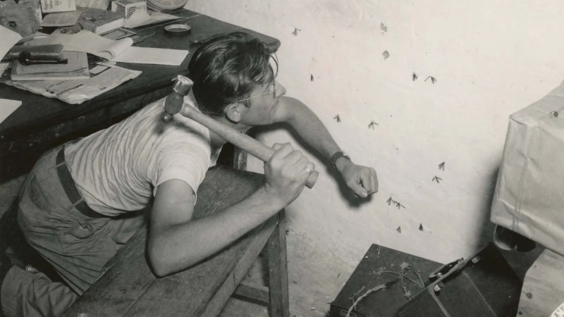 WWII soldiers fought malaria one hammer strike at a time