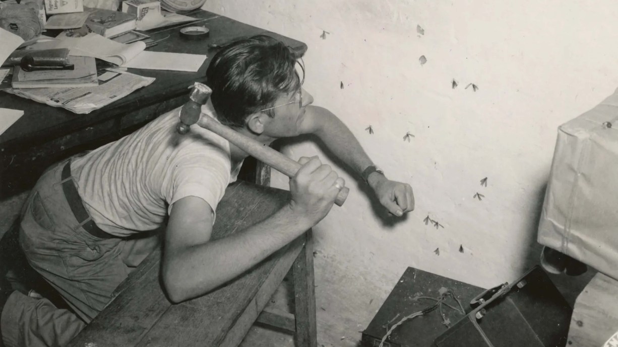 How Army cavalry scouts earn their spurs