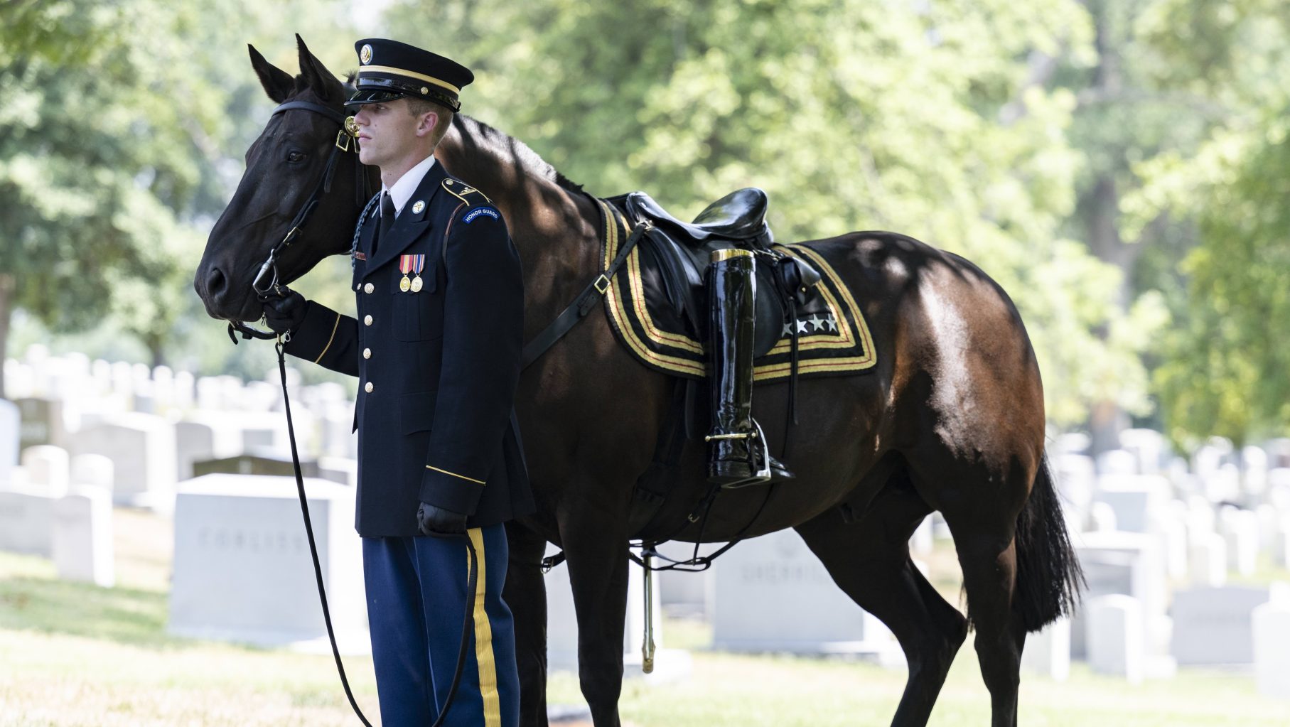 Arlington Cemetery is restarting horse-drawn caisson burials